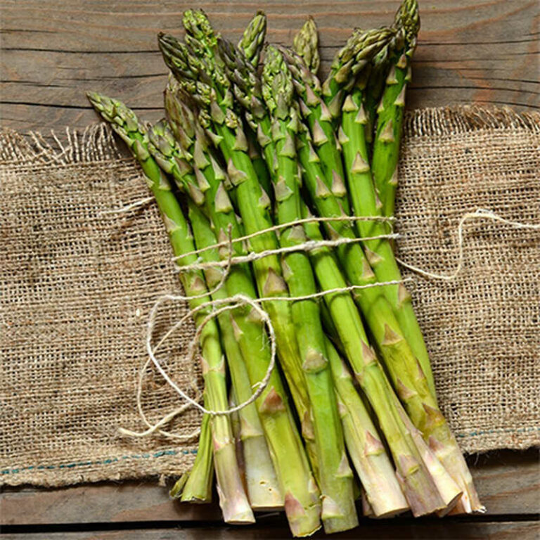 A spárga (asparagus officinalis) termesztése, felhasználása