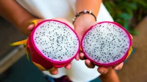 Sárkánygyümölcs (Hylocereus monocantus) | Pitaja gondozása